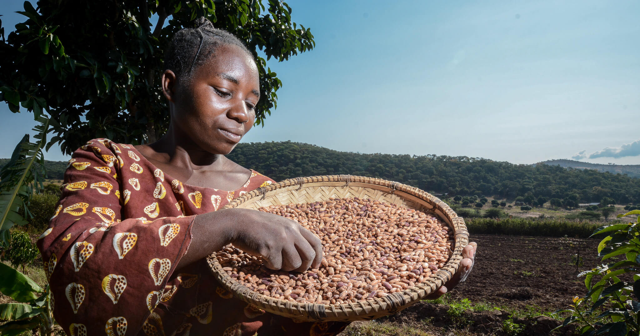 Moving from Feeding to Nourishing: Can we learn from the climate change ...