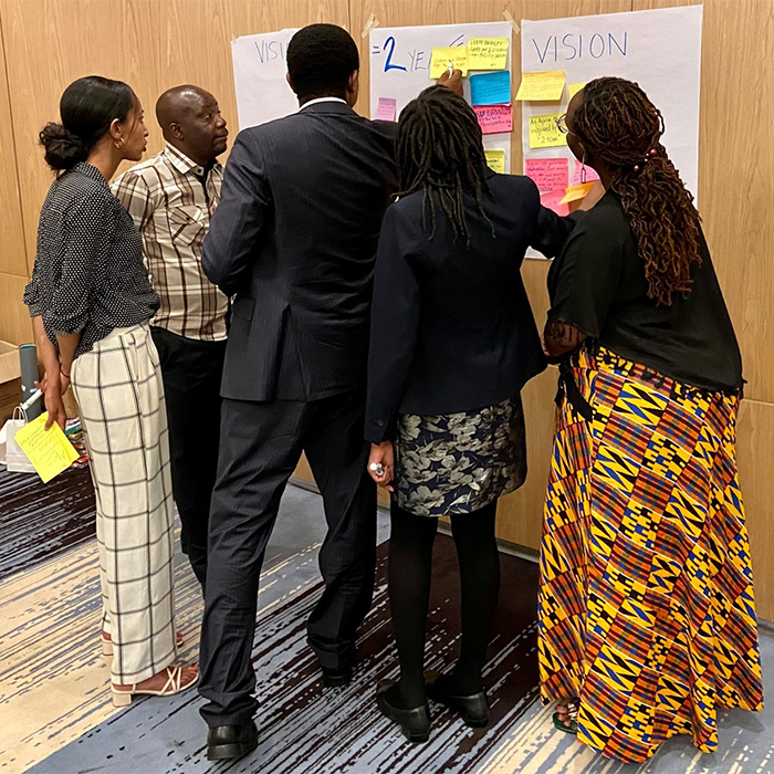 Africa LEEPS (Learning together to advance Evidence and Equity in ...