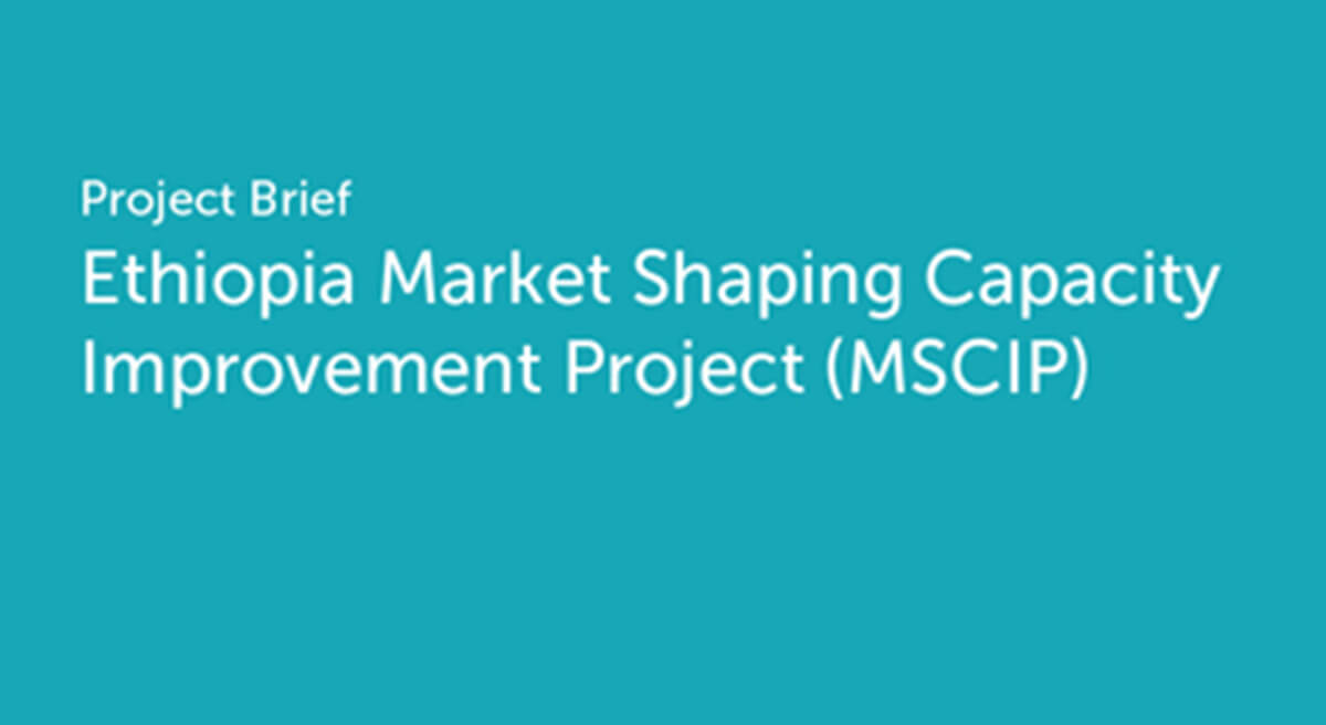 Market Shaping Capacity Improvement Project Briefs | Results for ...